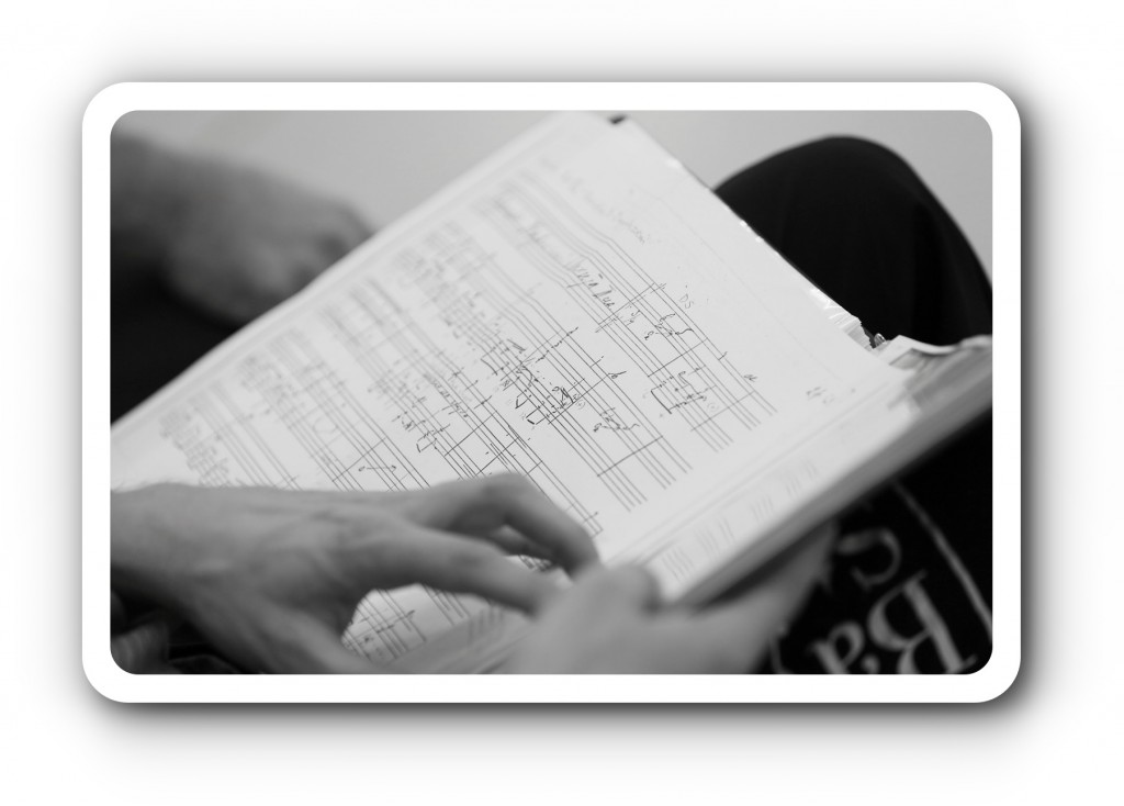 Der kluge Berserker - ballett-journal