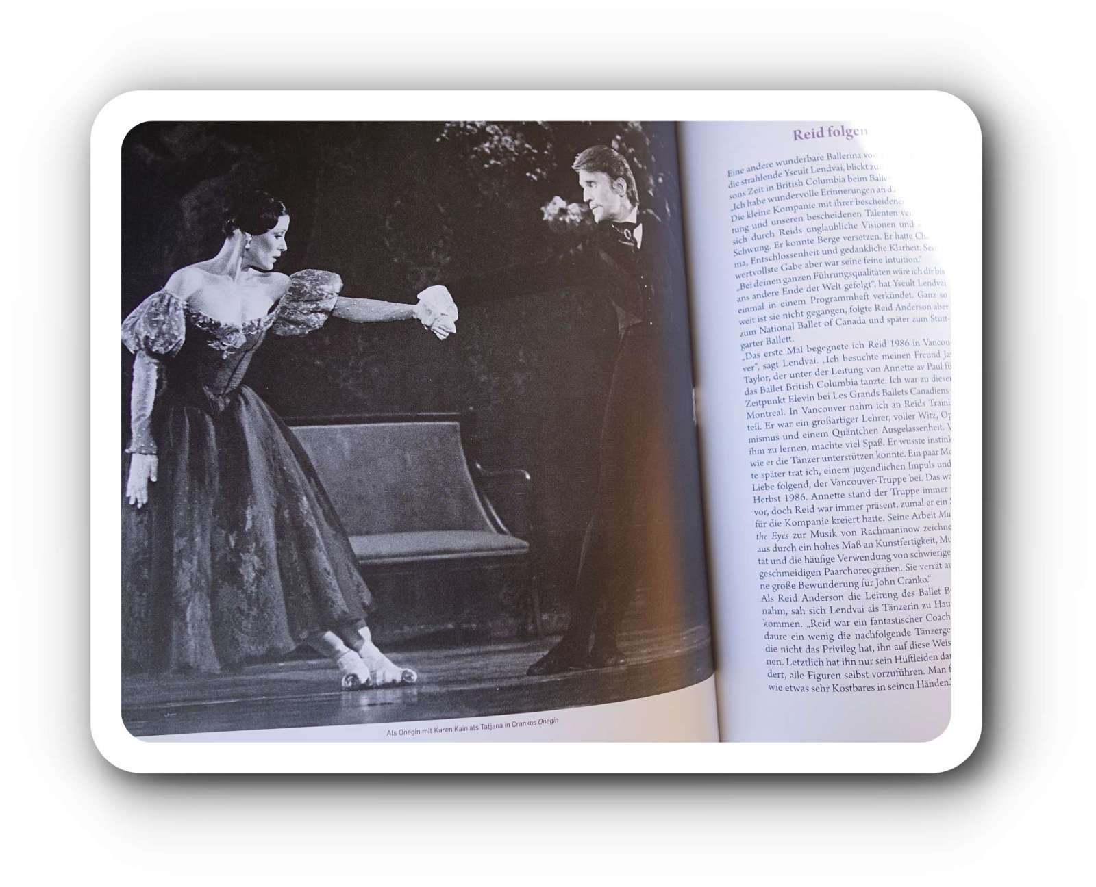 Stuttgarter Ballett - Reid Anderson - Buch - Having It - Demis Volpi